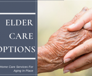 Hire a Qualified Caregiver - Home Health Aid - Meetcaregivers